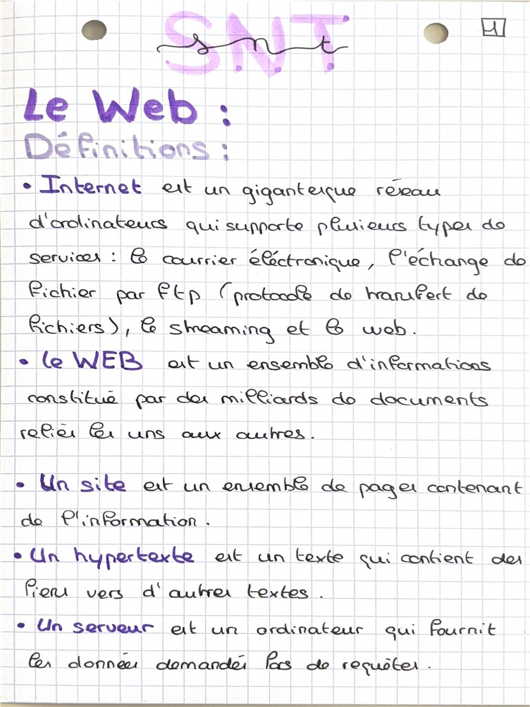 SNT Fiche Web | PDF