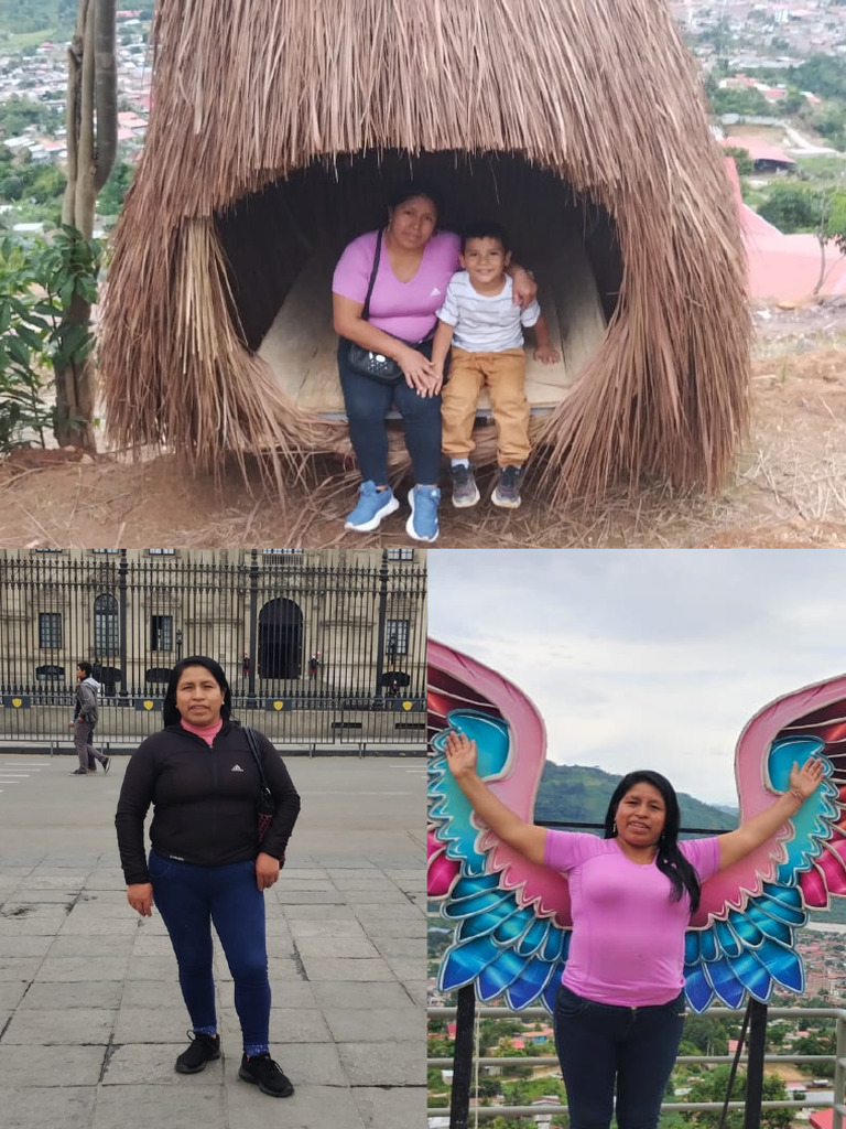 Documento A4 Carta Poder Formal Blanco y Gris | PDF