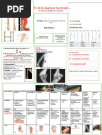 Anatomie de l'Humérus et Radiographies | PDF | Anatomie humaine ...