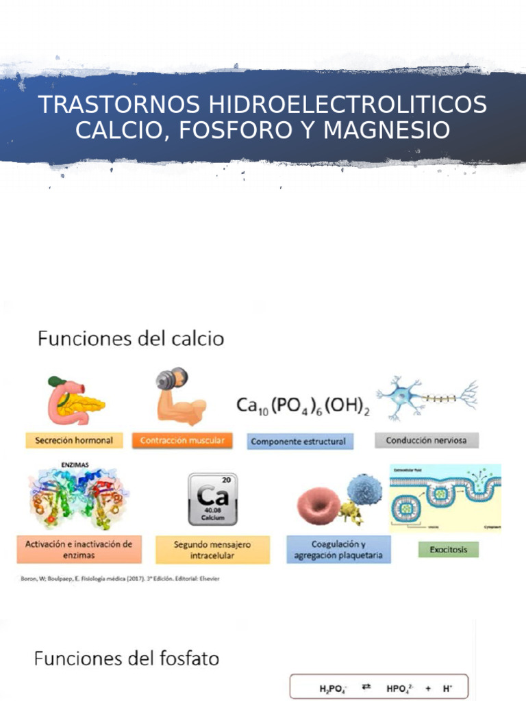 Trastornos del calcio, magnesio y fosforo | PDF | Medicina CLINICA ...