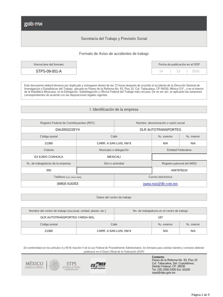 C Formato de Accidentes Stps | PDF