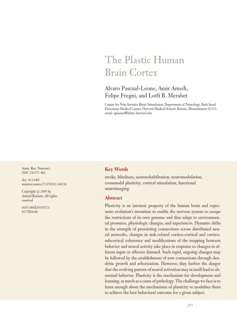 The Plastic Human Brain Cortex | PDF | Neuroplasticity | Brain