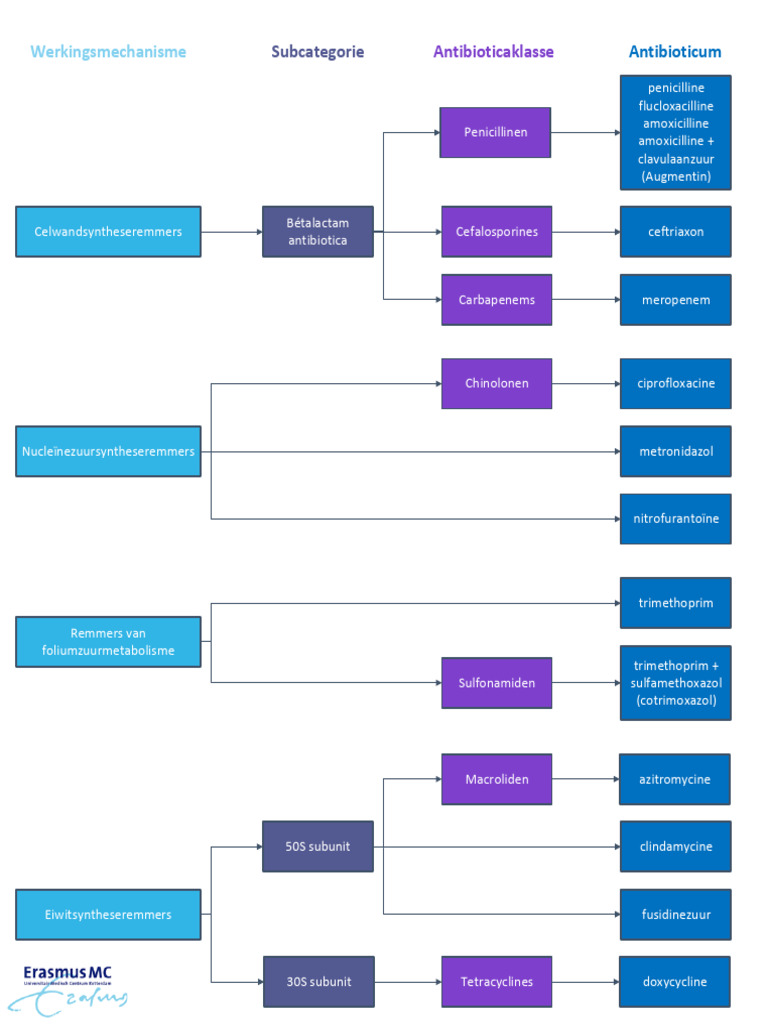 Flowchart Antibiotica EA2030 20241014-2 | PDF