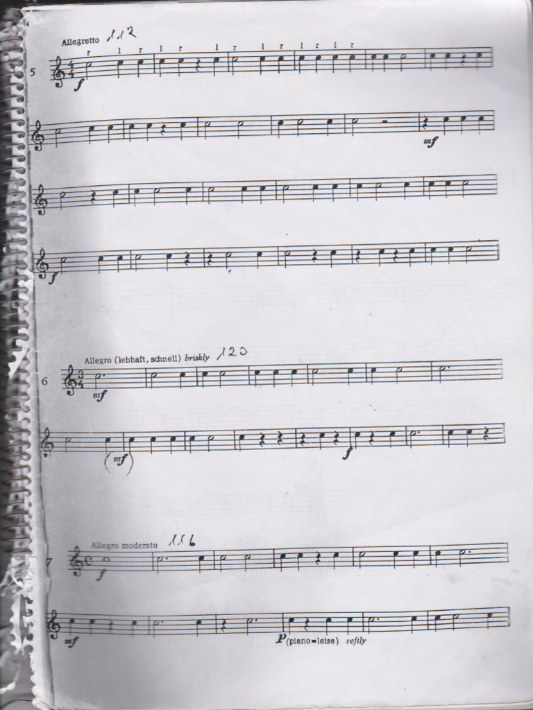 Estudo5/7 Fink | PDF