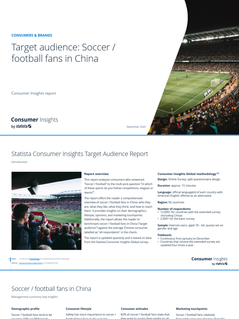 Insights on China's Football Fans 2024 | PDF | Survey Methodology | Pet