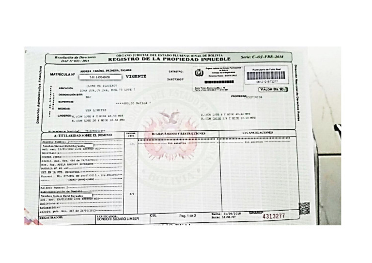 Alodial Nuevo 22 | PDF