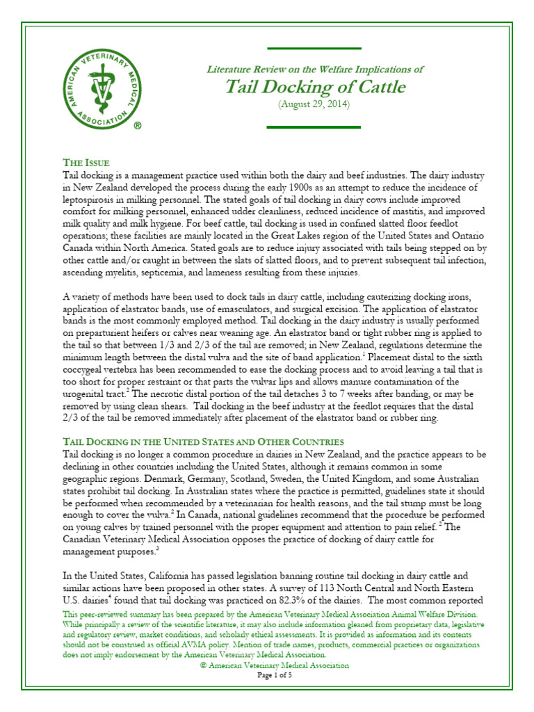 tail_docking_cattle_bgnd | PDF | Ischemia | Cattle