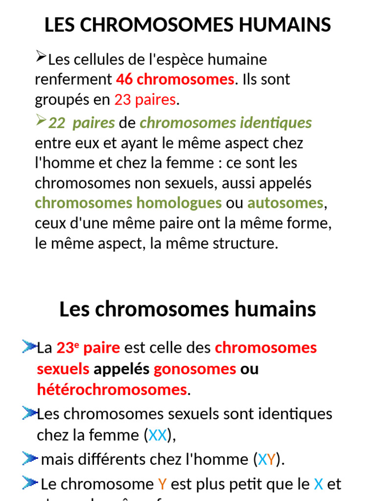 LES CHROMOSOMES HUMAINS | PDF
