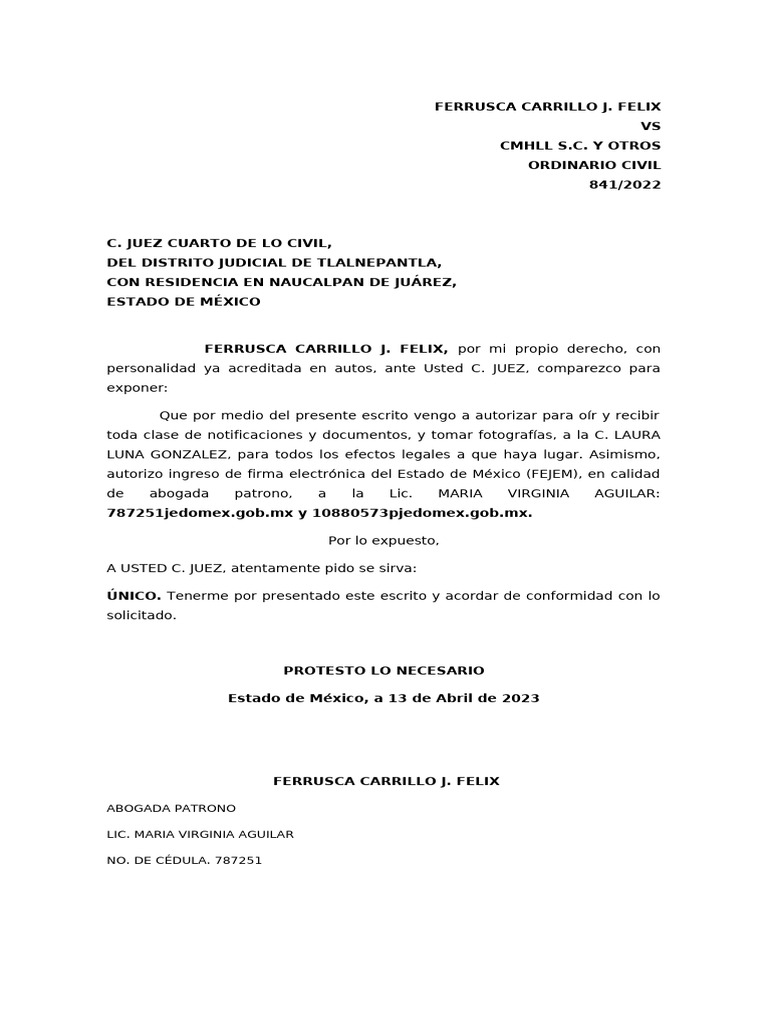 Ferrusca Carrillo J4 | PDF