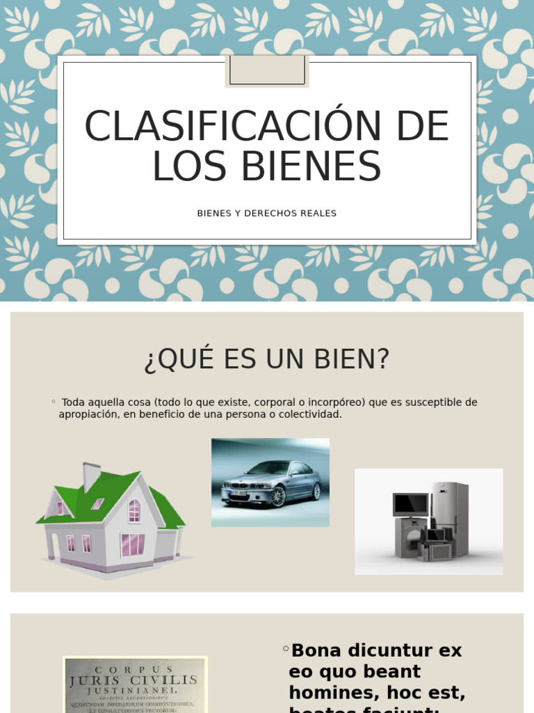 2 Clasificaciones Bienes.pptx PROFESOR | PDF | Propiedad | Justicia