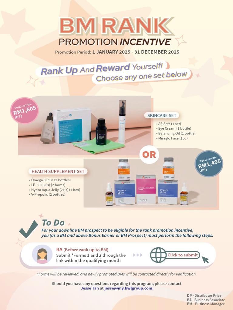 BM Promotion Incentive Overview | PDF