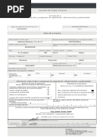 DC1 STPS Formato Word Editable | PDF