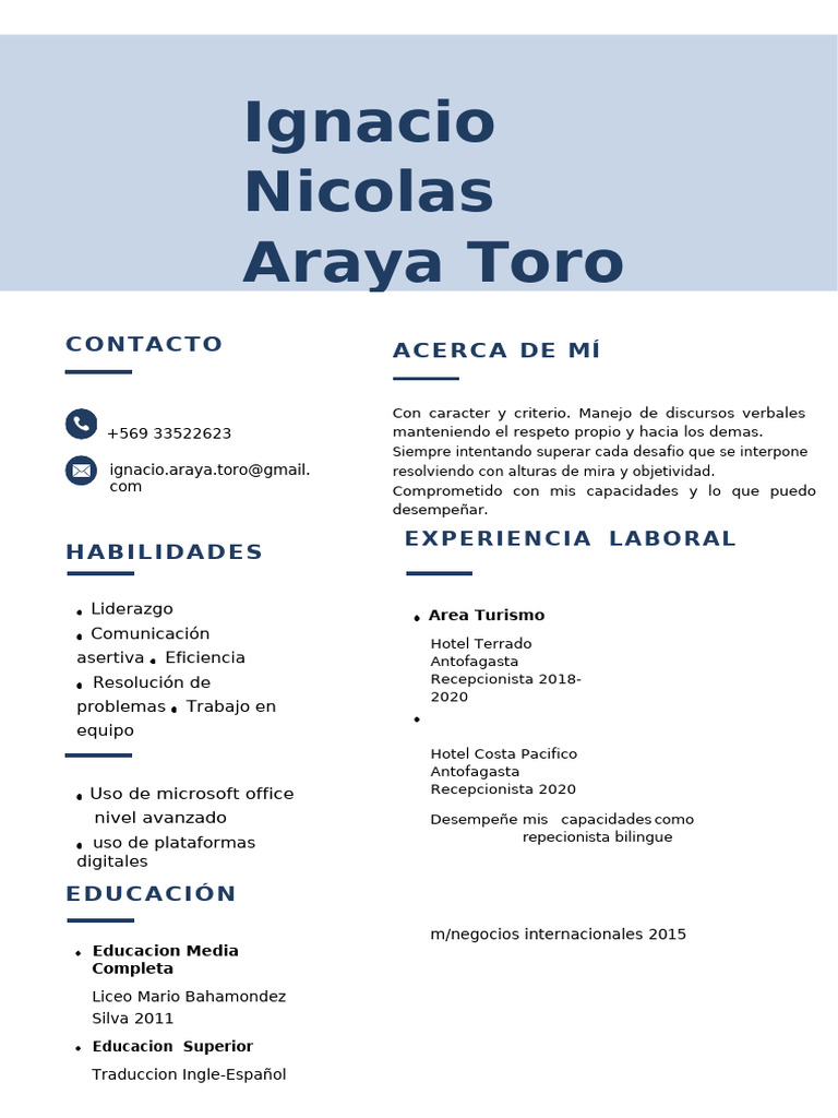 Curriculum Ignacio 2024 | PDF