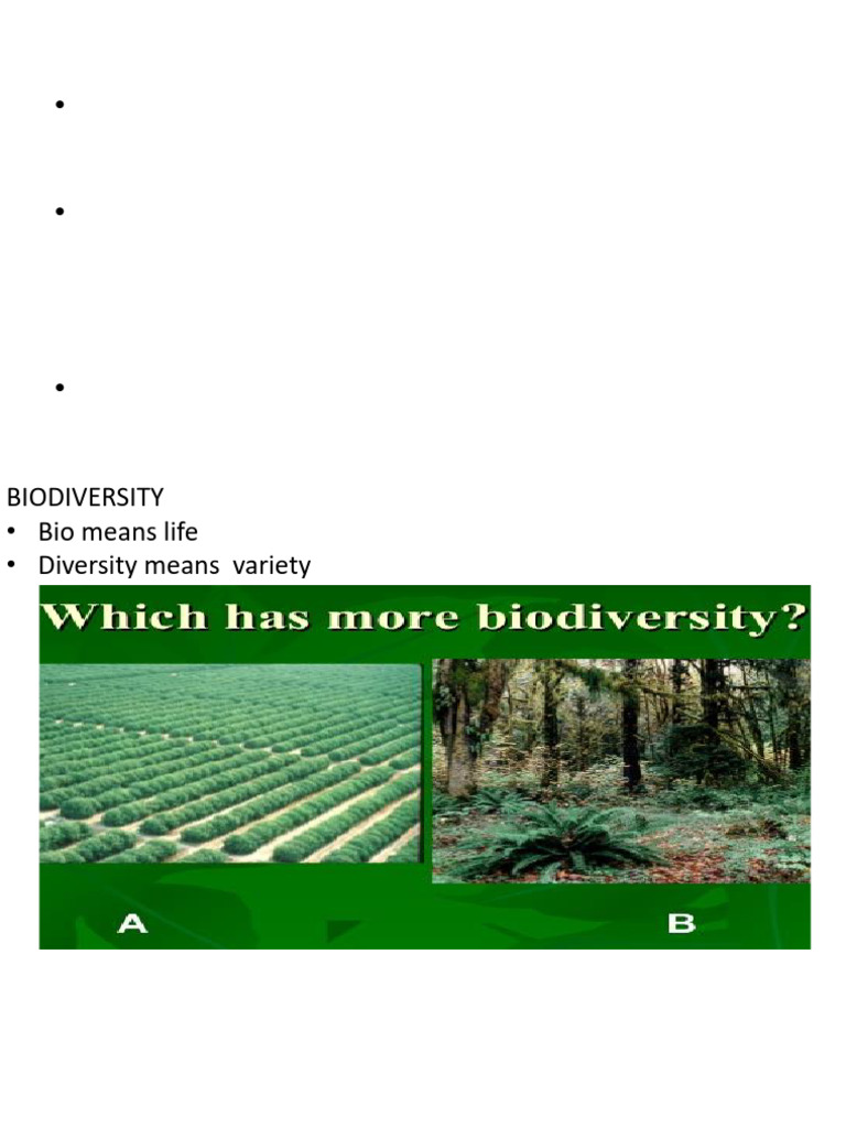 GEC 6 Lesson 2 Biodiversity For Final 1 | PDF | Biodiversity | Ecosystem