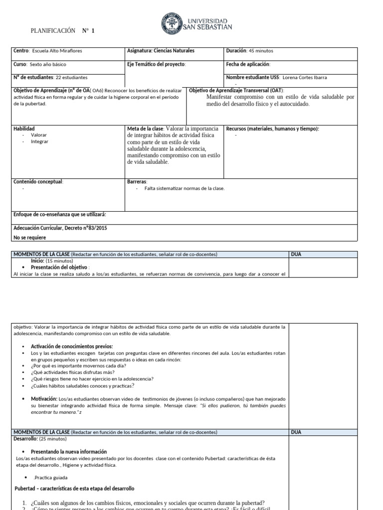Formato Planificación Dua | PDF | Aprendizaje | Adolescencia