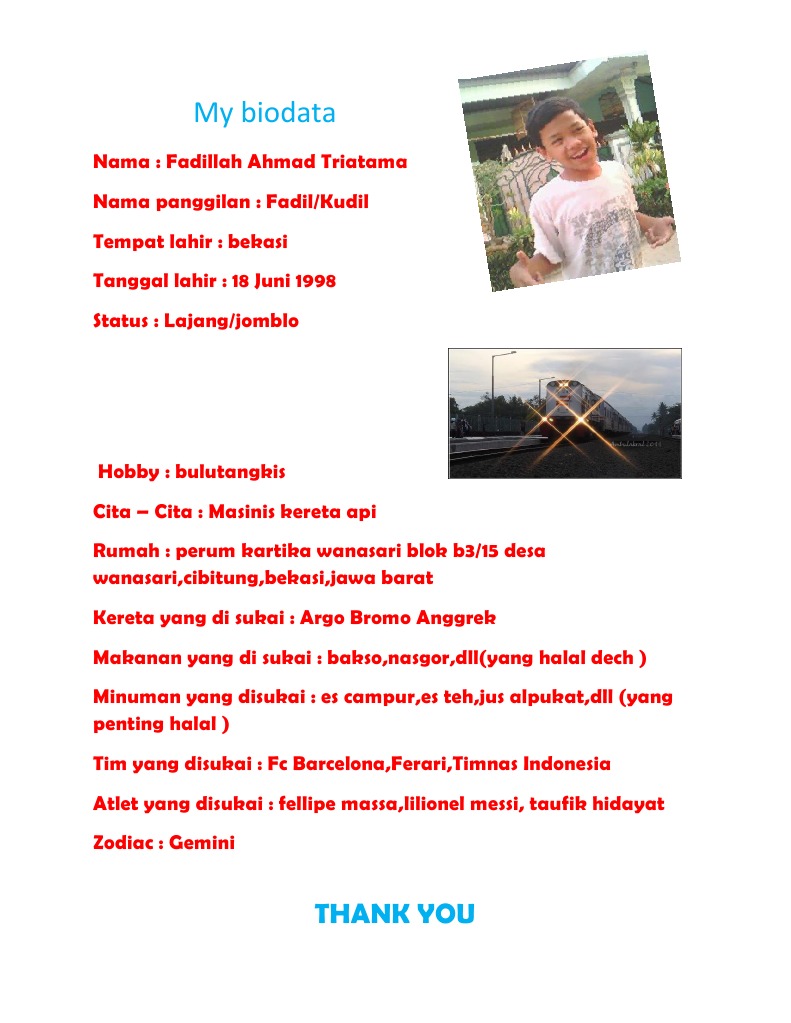 Biodata Fadillah Ahmad Triatama | PDF