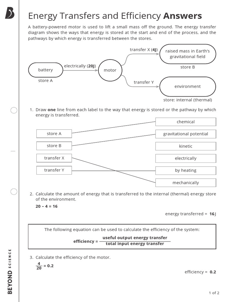 Efficiency and Sankey | PDF | Photosynthesis | Leaf