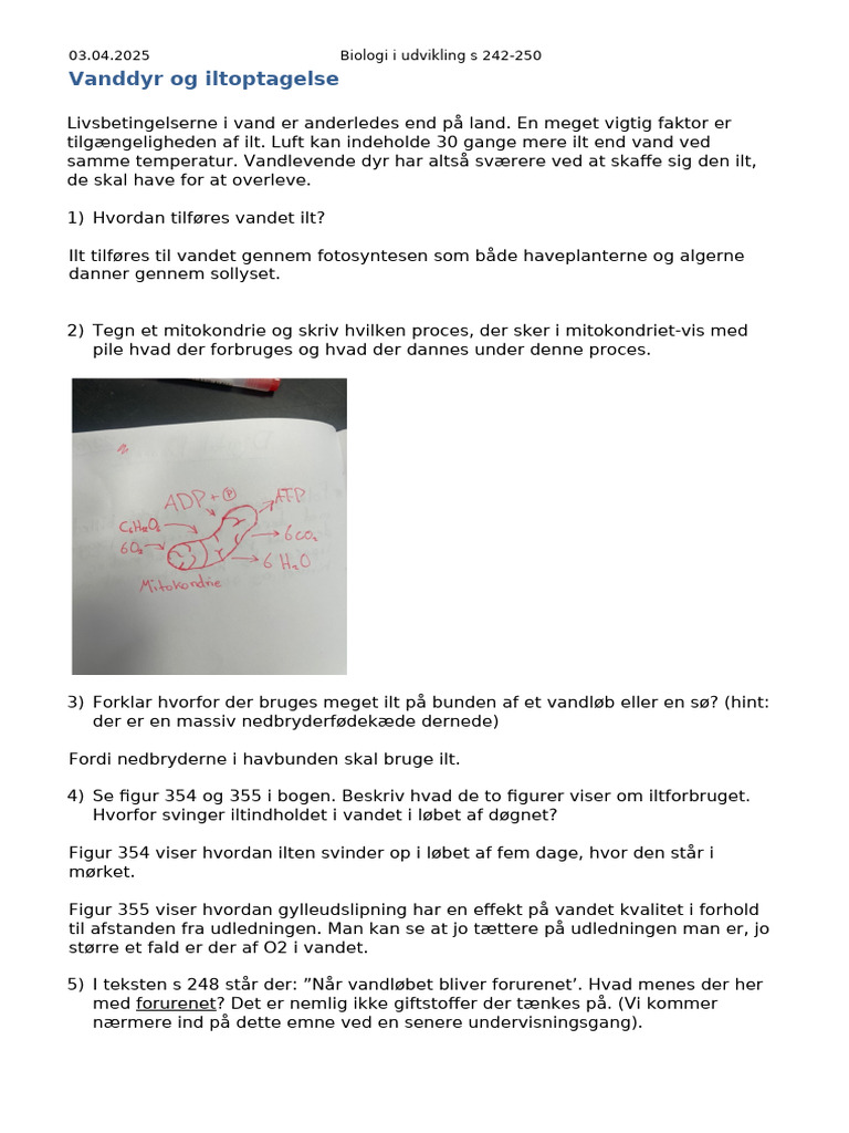 AA Vand Og Ilt | PDF