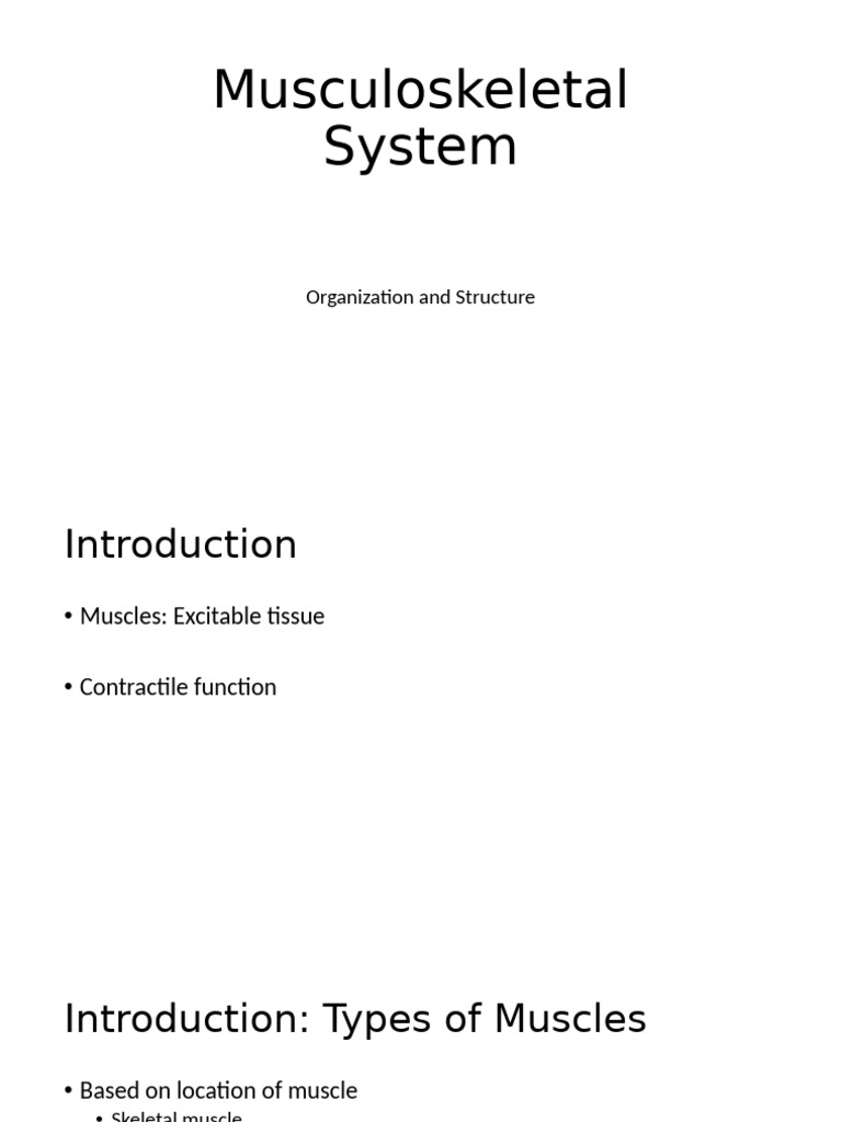 Musculoskeletal System: Muscle Structure & Function | PDF | Skeletal ...