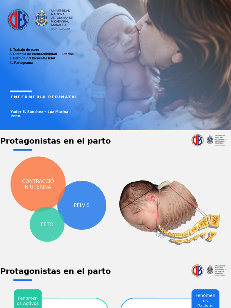 Trabajo de Parto Oficial | PDF | Parto | Pelvis