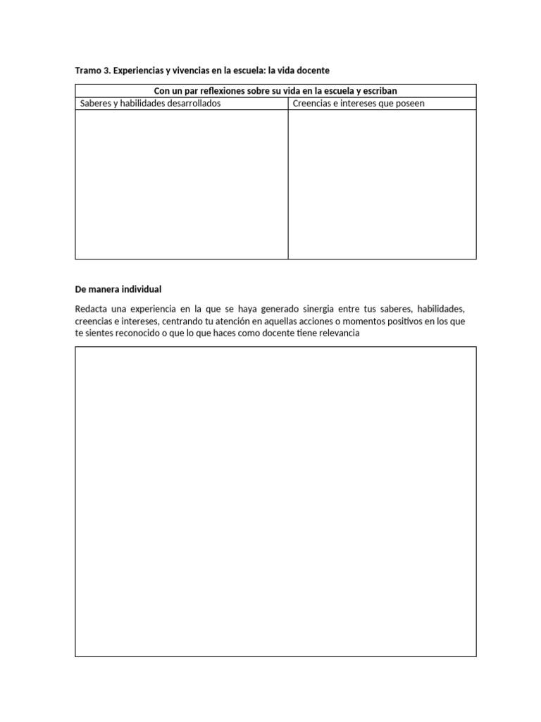 Actividad CTE Febrero 25 USAER | PDF