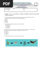 20 Soal Rantai Makanan Kelas 5 SD Dan Kunci Jawabannya | PDF