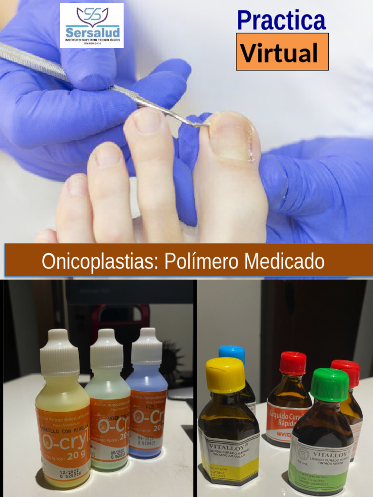 Practica Virtual | PDF