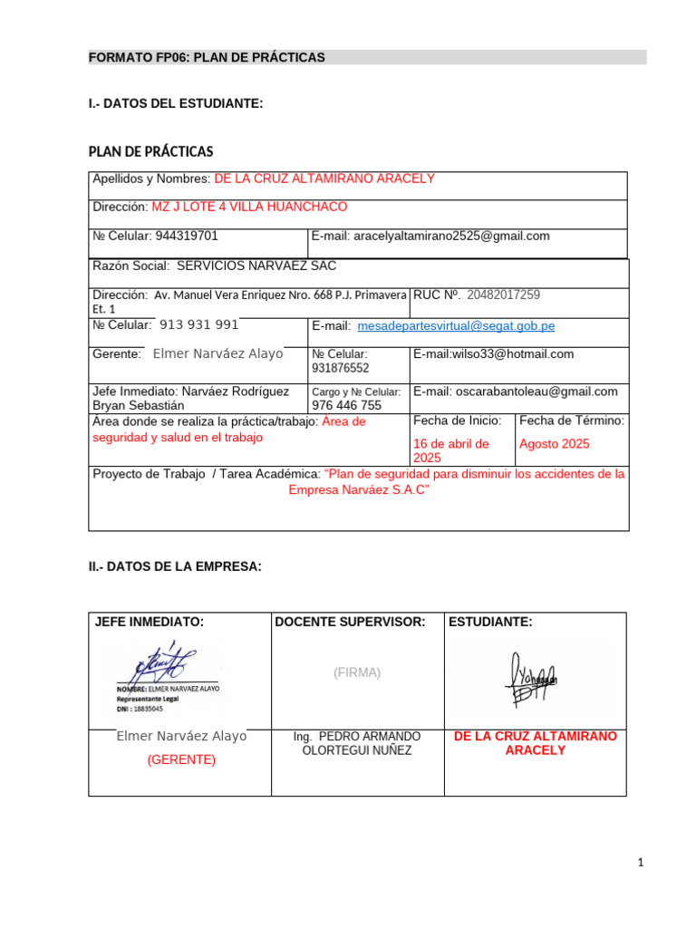 Modelo de Plan de Practicas | PDF