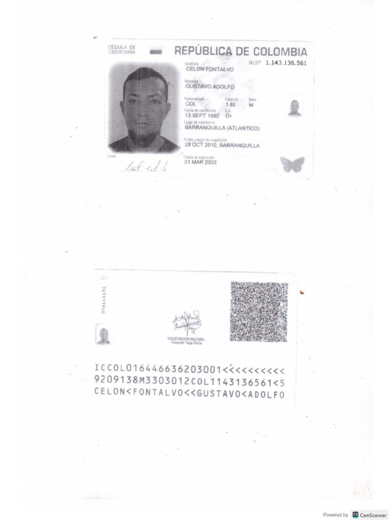 Cédula Gustavo | PDF