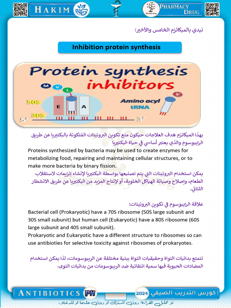 Part 1 Proteins Synthesis Inhibitior Lec 4 | PDF