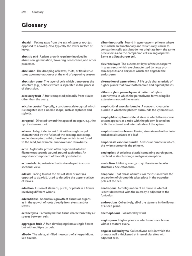 Plant Biology Terminology Glossary | PDF | Leaf | Plant Stem