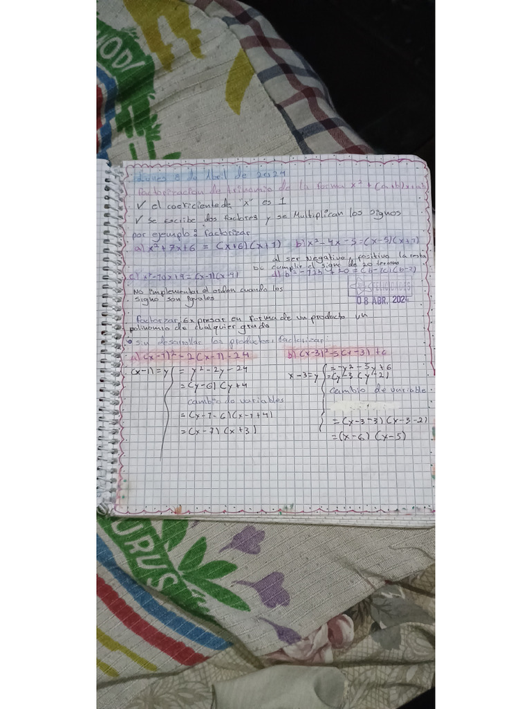 Cuaderno Gabriela Abrego 1-1 DSW | PDF