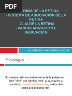 Capas de La Retina | PDF | Retina | Percepción visual