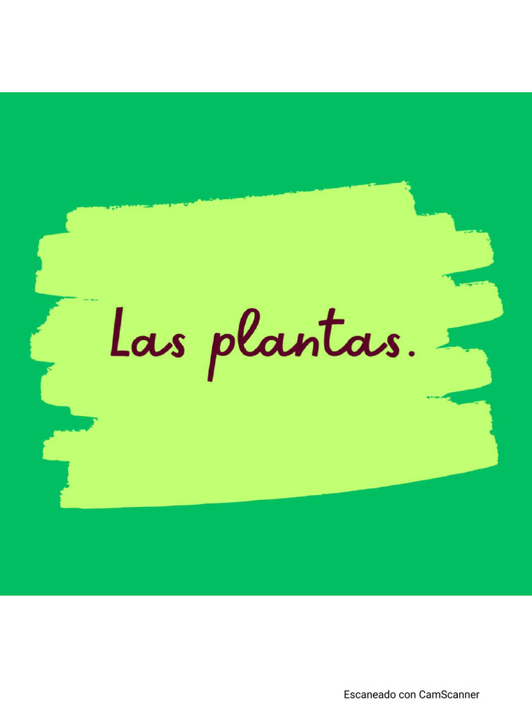 Las Plantas 1° | PDF
