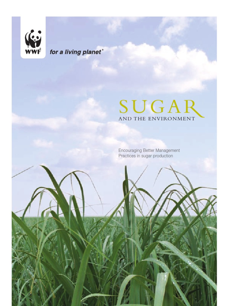Sustainable Sugar Production Practices | PDF | Soil | Water Resources