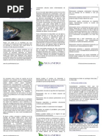 Anatomía y Fisiología de Los Peces Teleósteos | PDF | Vena | Pescado