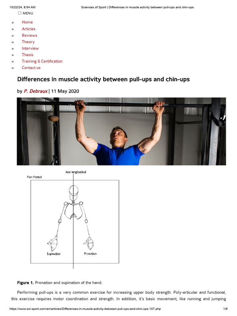 Sciences of Sport _ Differences in muscle activity between pull-ups and chin-ups | PDF ...