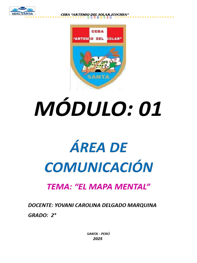 Mapa Conceptual de Planificación Familiar | PDF | Control de la ...