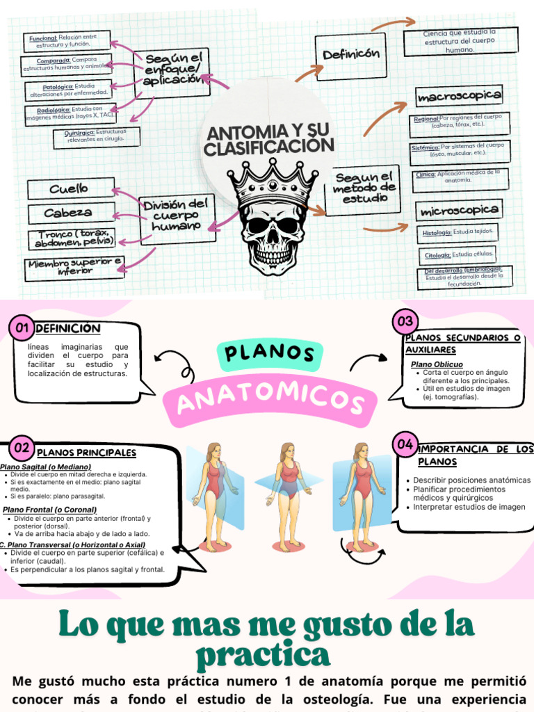 Doodle Handwritten Mind Map Brainstorm | PDF | Ct Scan | Anatomía