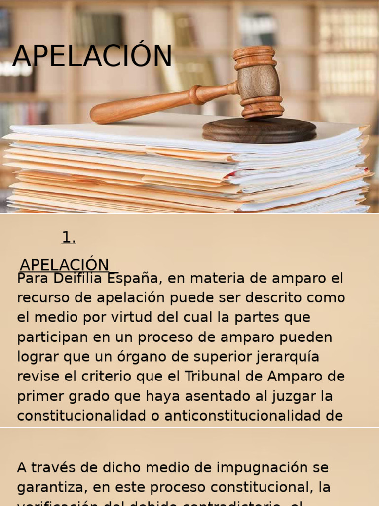 Medios+de+Impuganaci%C3%B3n | PDF