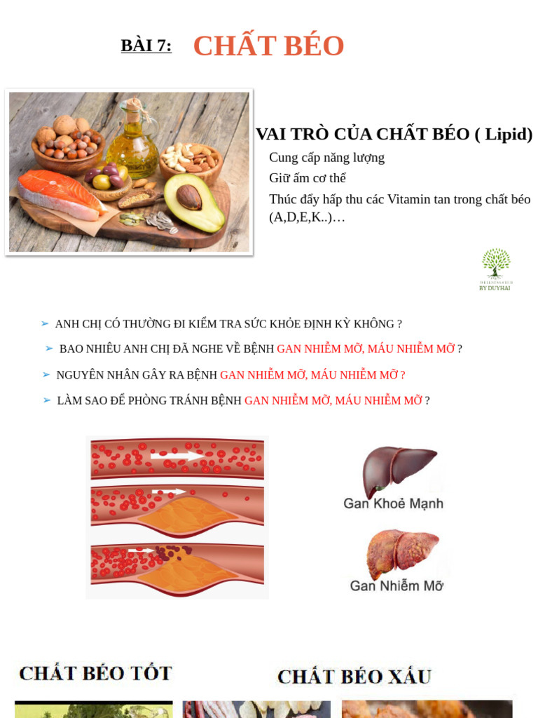 BÀI 7 CHẤT BÉO | PDF
