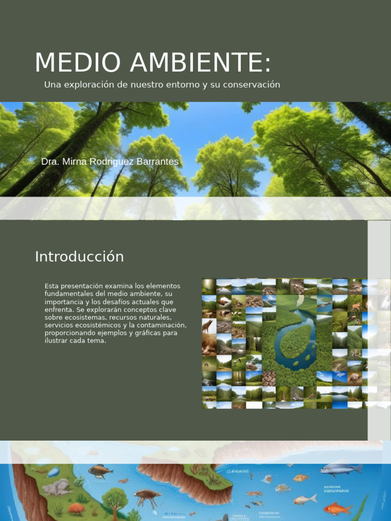 Clase 1 Mayds | PDF | Ecosistema | Entorno natural