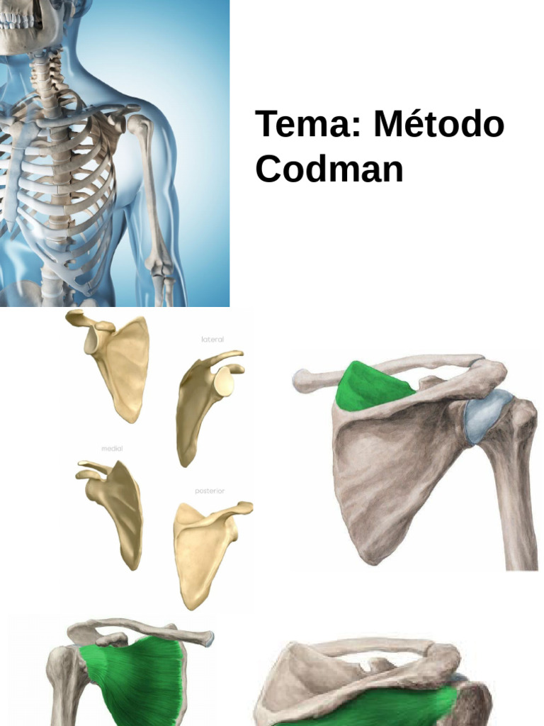 Metodo Codman | PDF