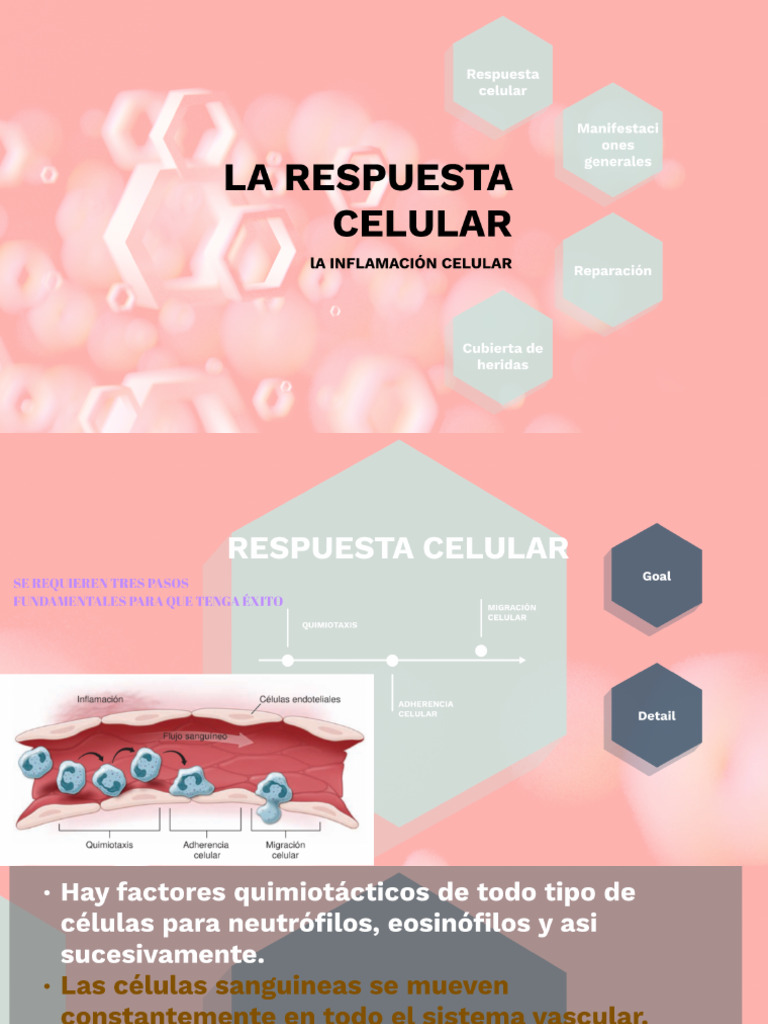 4. CICATRIZACION | PDF