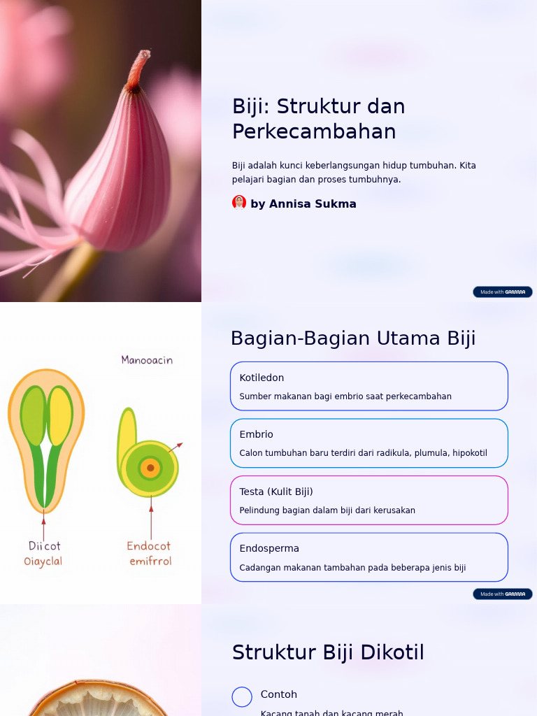 Biji Struktur Dan Perkecambahan | PDF