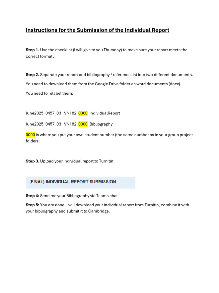 Instructions For The Submission of The Individual Report | PDF