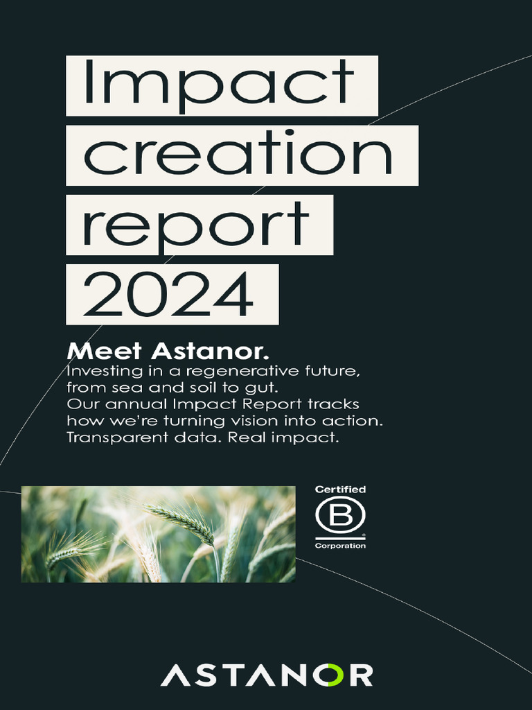 Impact Creation Report 2024 | PDF