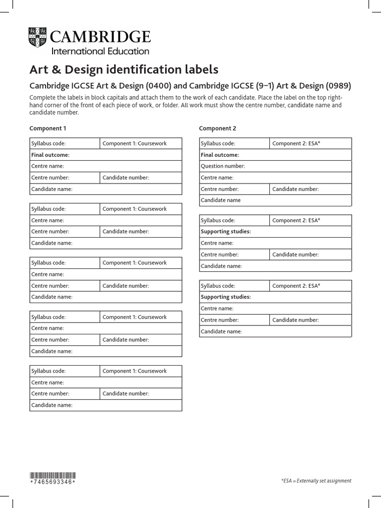 IGCSE Art & Design Submission Label | PDF