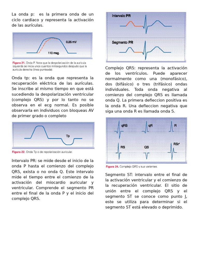 Ecg | PDF