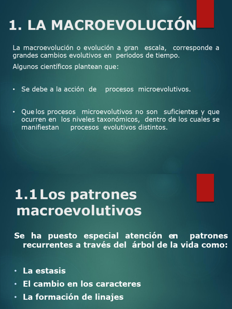 La Macroevolución | PDF | Evolución | Extinción